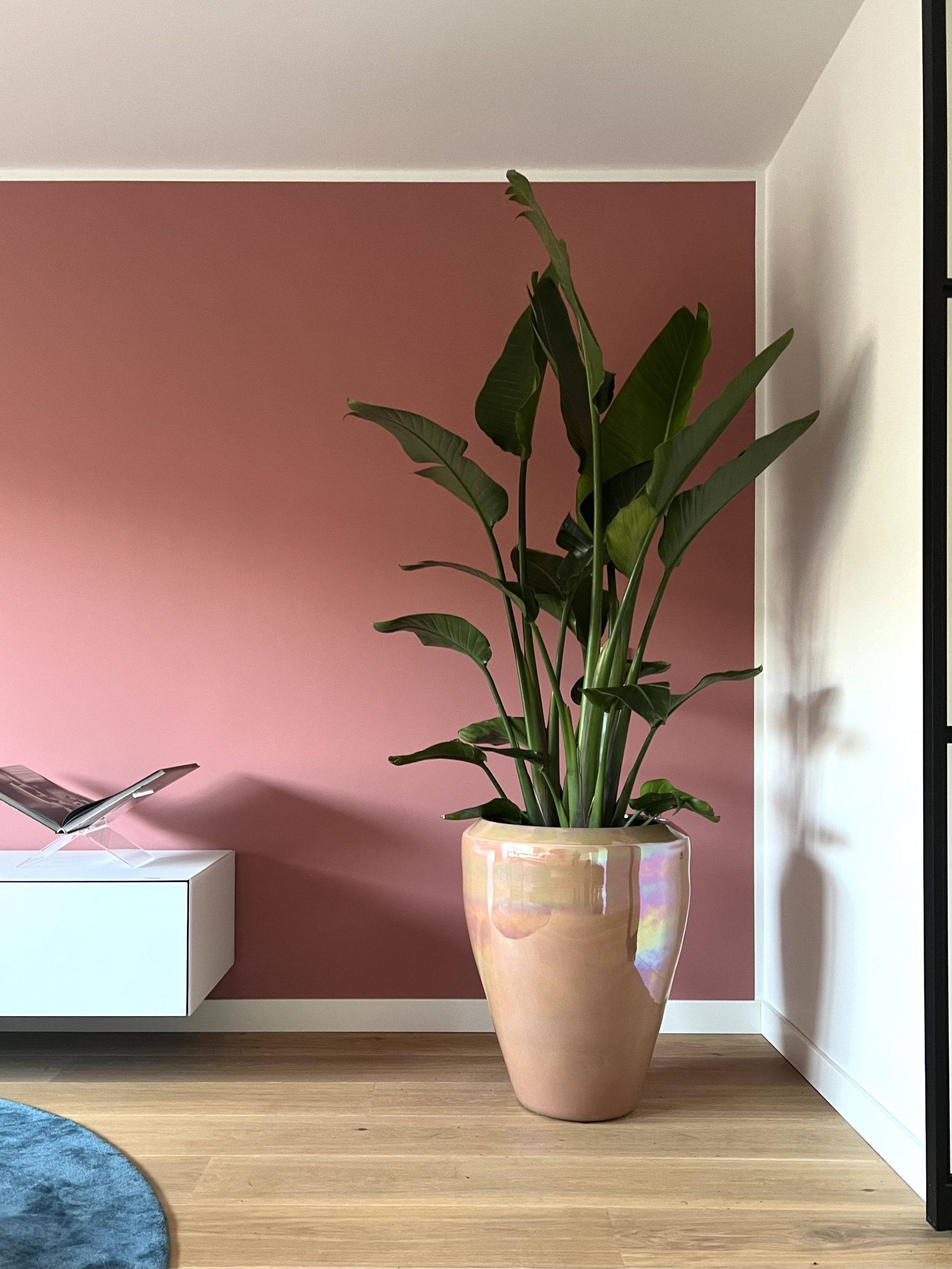 Ecri Living | Indoor Collection