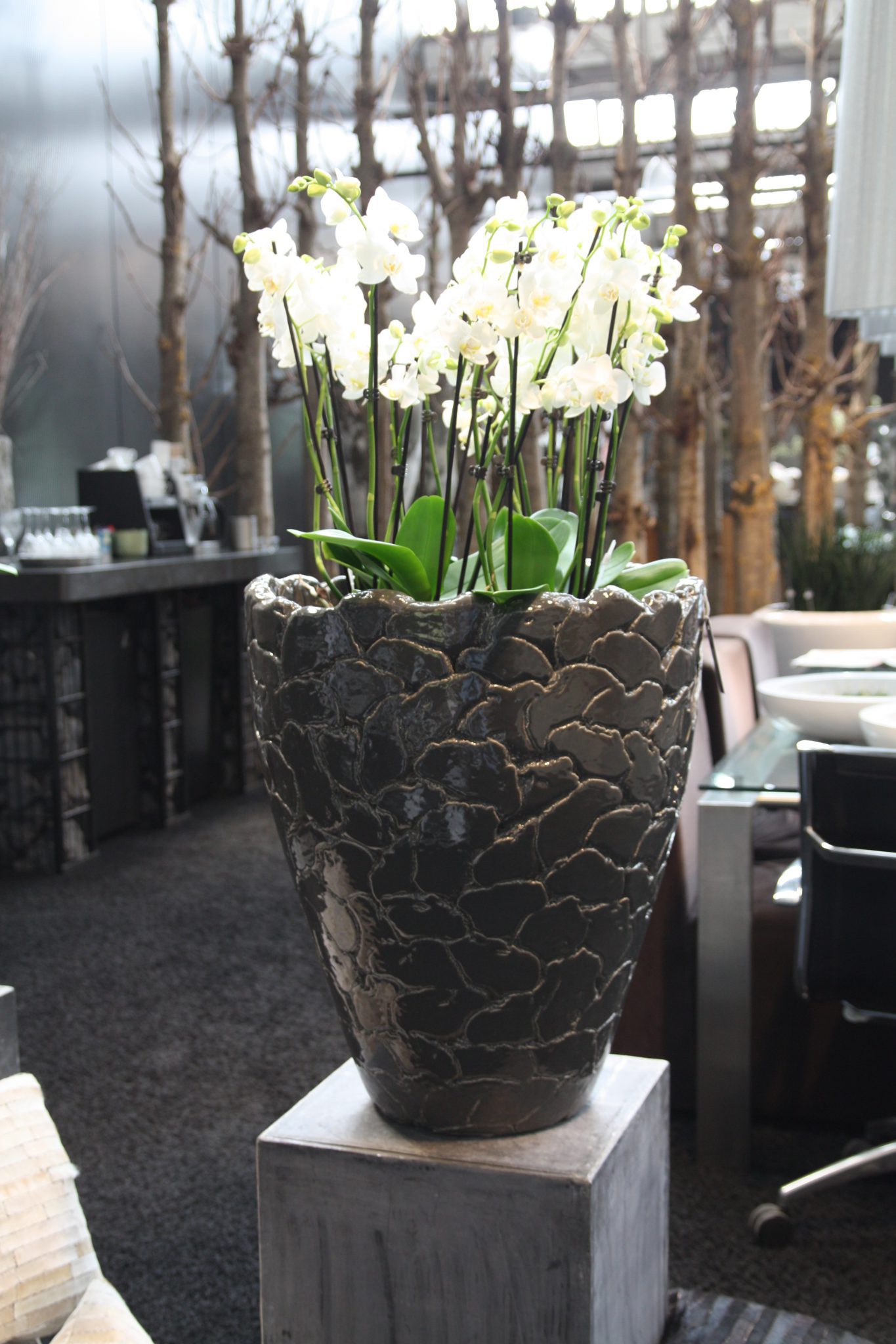 Ecri Living | Indoor Collection